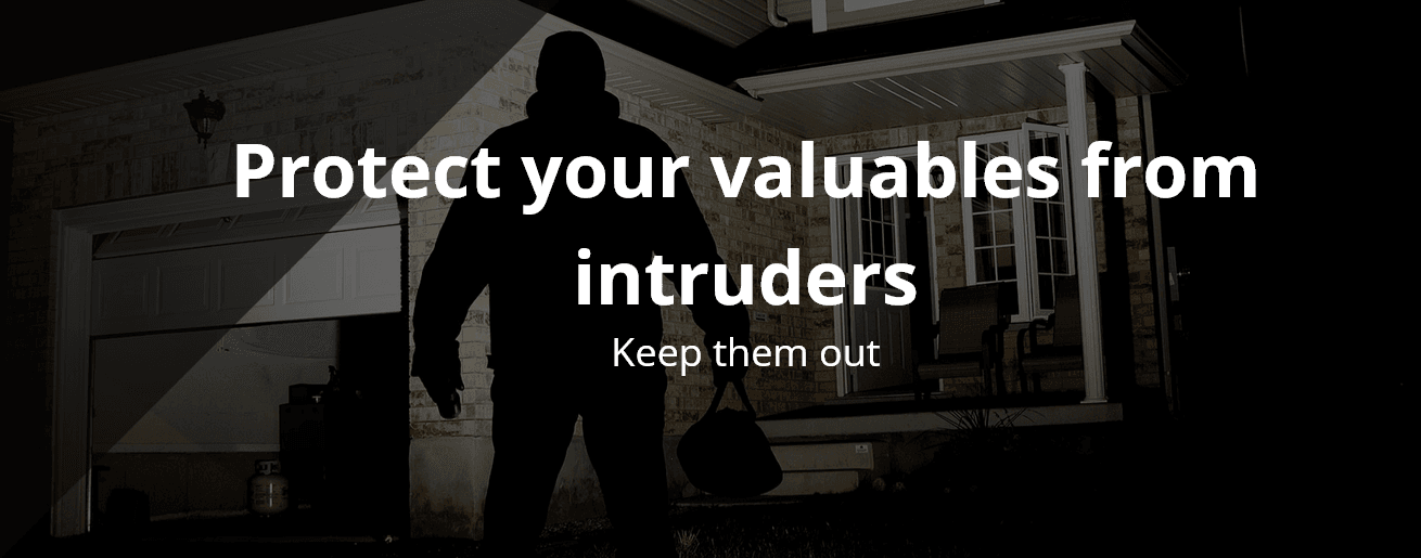 Perimeter Intrusion Detection Systems